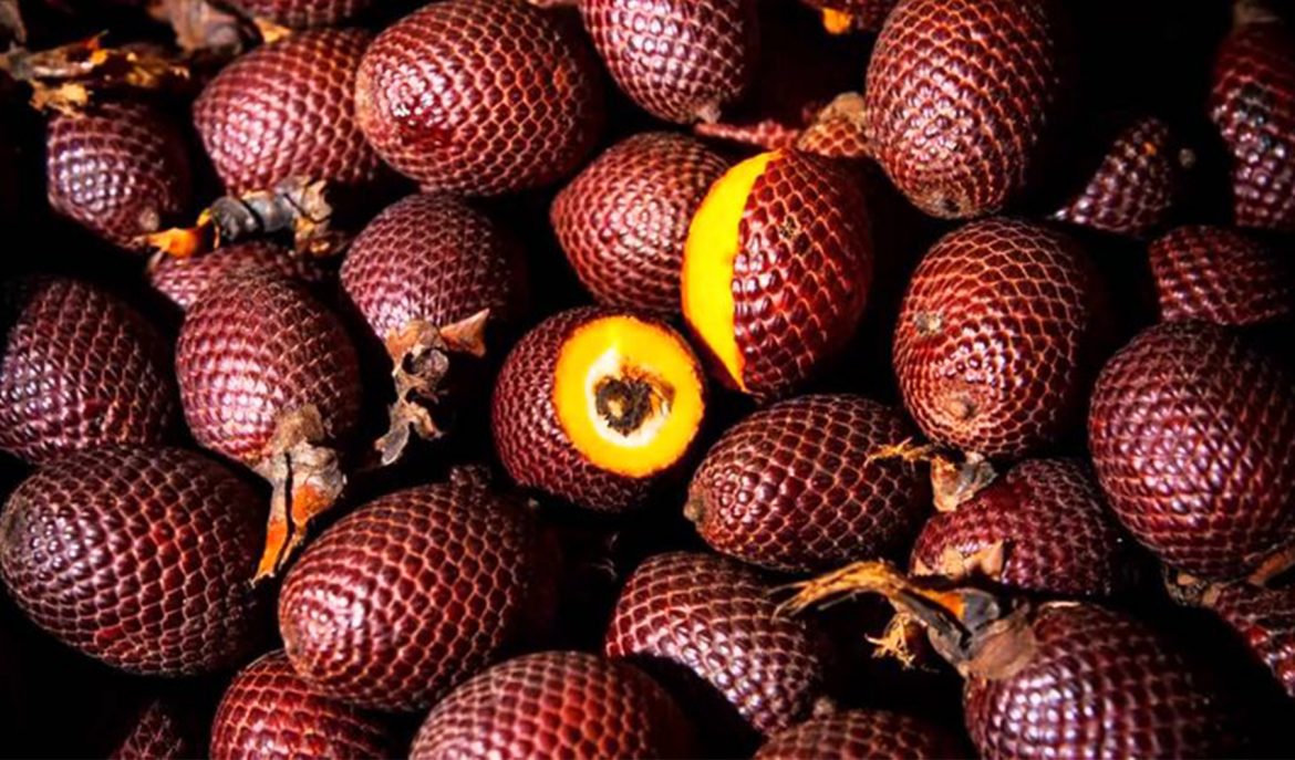 Peruvian Exotic fruits you Need to Know – Taste of Peru