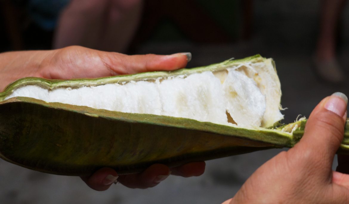 Peruvian Basic Cooking Class: What to Expect! – Taste of Peru
